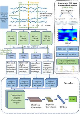 Frontiers | Phase-amplitude coupling-based adaptive filters for neural signal decoding